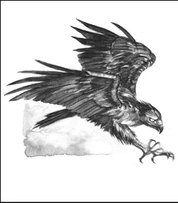 Death Hawk | Titannica | Fandom