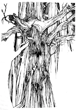 Treeman | Titannica | Fandom