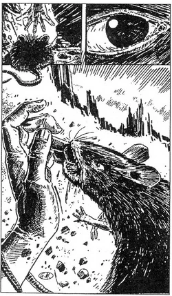 Saw-Toothed Rat | Titannica | Fandom