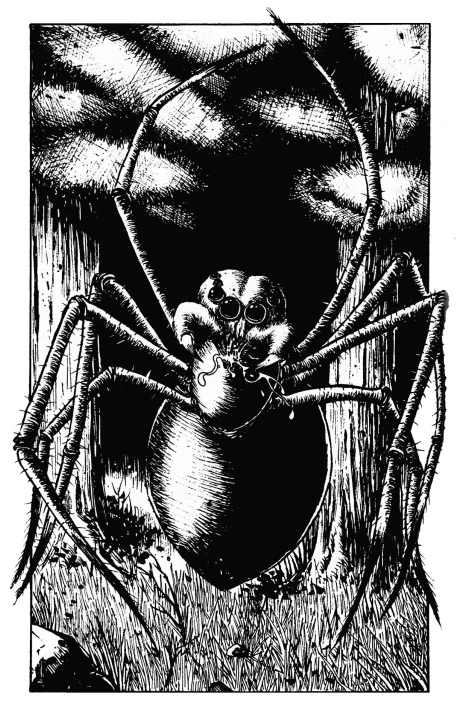 Giant Spitting Spider | Titannica | Fandom