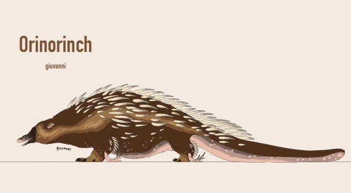 Orinorinch | Fighting Fiesta Wiki | Fandom