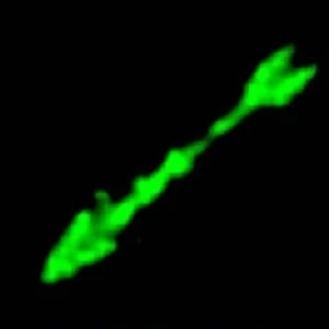 Melf's Acid Arrow | Fighting Friends Wiki | Fandom