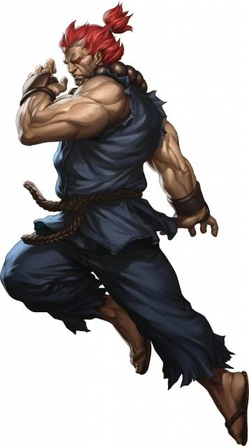 Akuma | Fighting Game Characters Wikia | Fandom