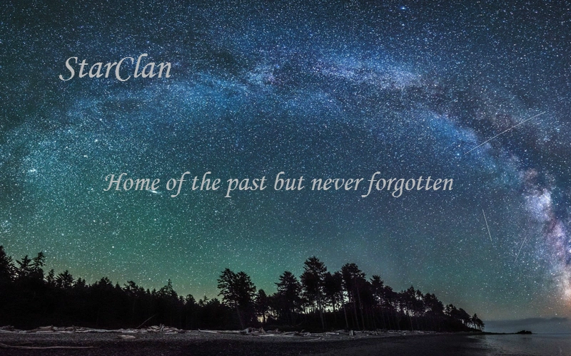 StarClan | FightLikeAWarriorCat Wiki | Fandom