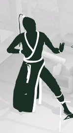 Ninja Master | Fights in Tight Spaces Wiki | Fandom