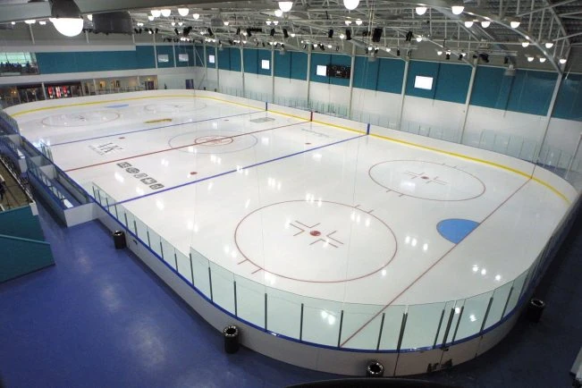 2007 JGP United Kingdom | Figure Skating Wikia | Fandom