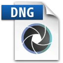 DNG | The File Format Wiki | Fandom