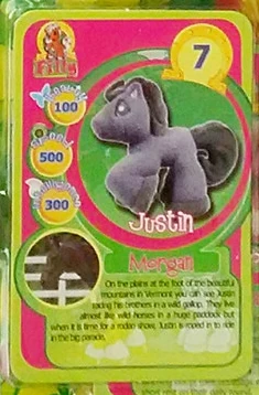 Filly Cards | Filly Wiki | Fandom