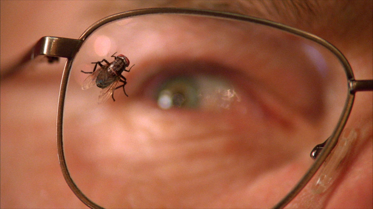 Extreme Close Up Shot