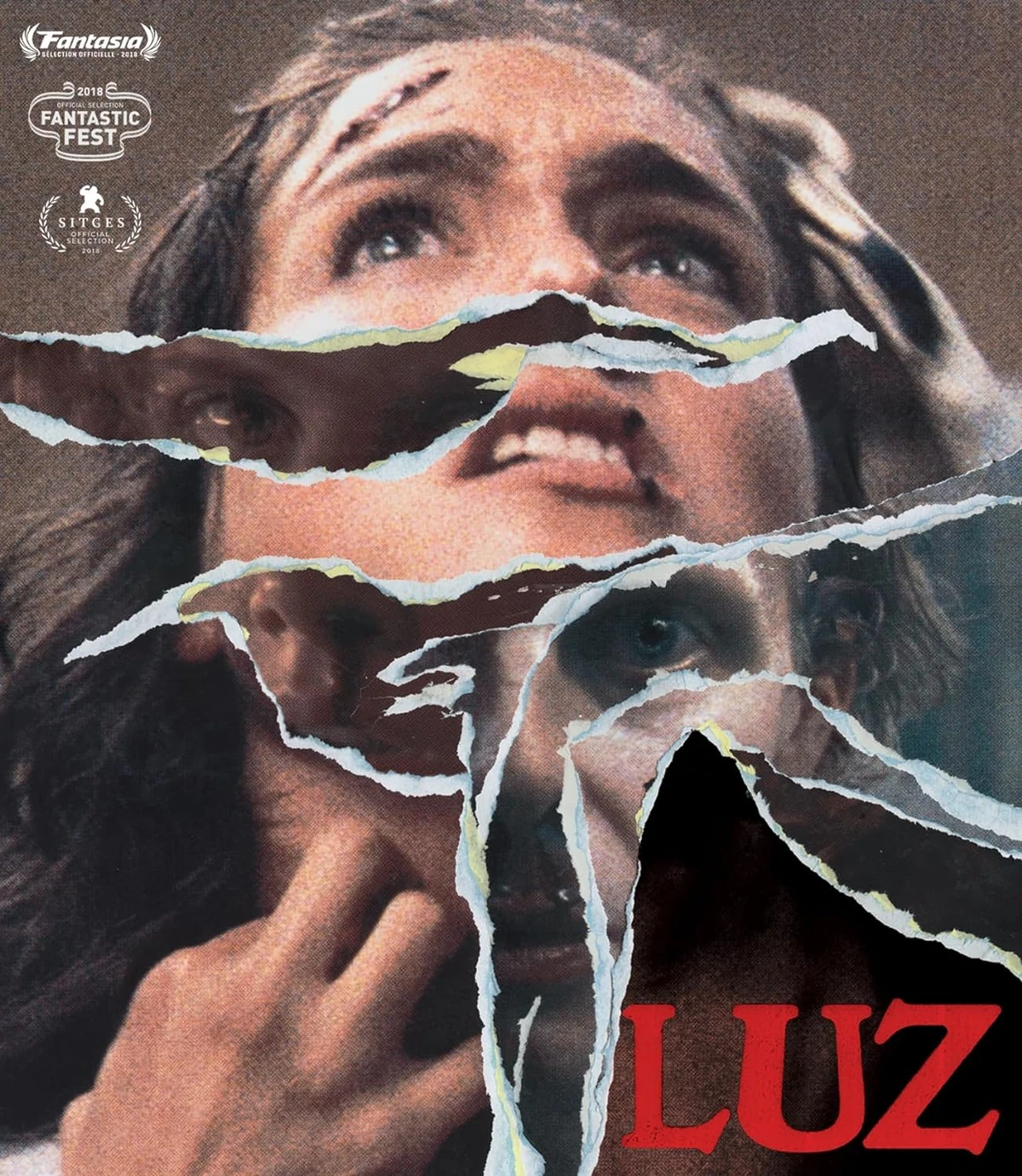 Luz/Home media | Moviepedia | Fandom