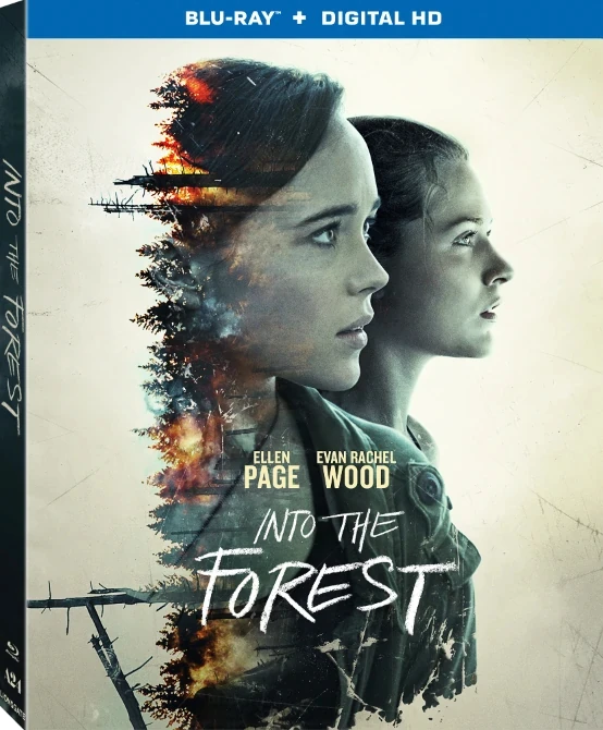 Into the Forest/Home media | Moviepedia | Fandom