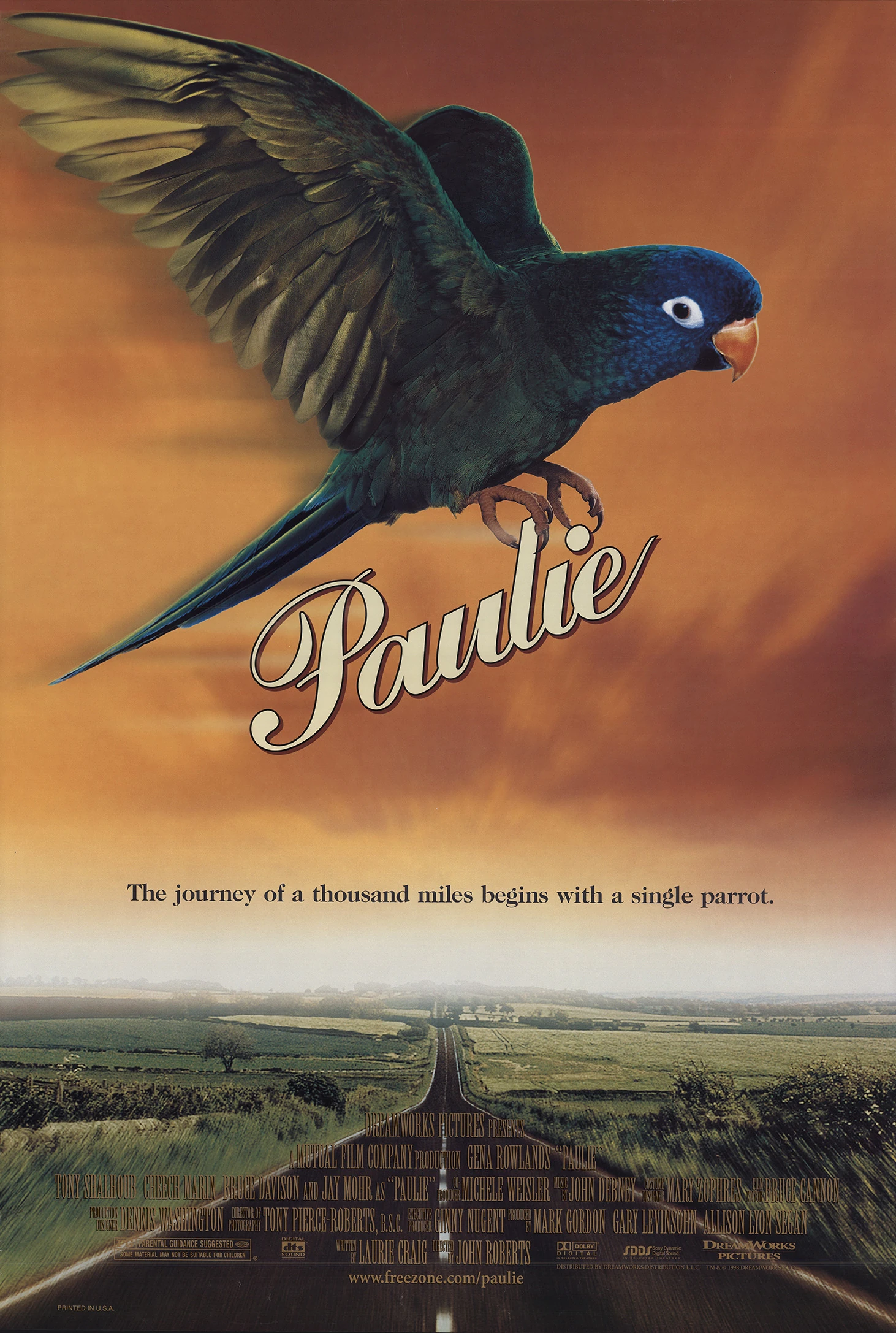 Paulie | Moviepedia | Fandom