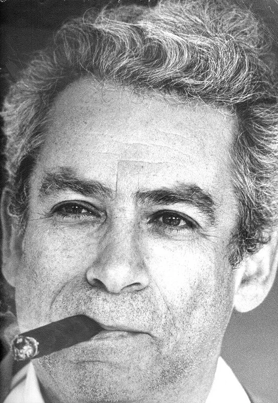 Samuel Fuller | Moviepedia | Fandom