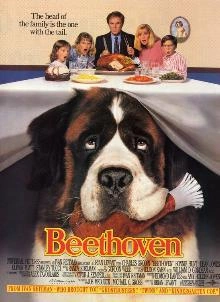 Beethoven (film) | Moviepedia | Fandom