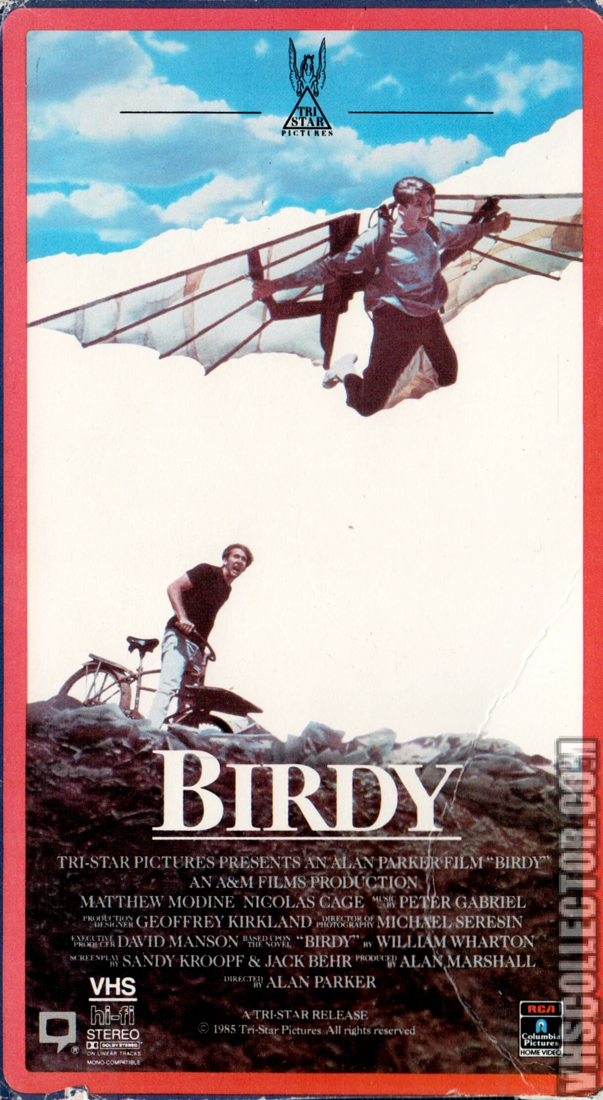 Birdy/Home media | Moviepedia | Fandom