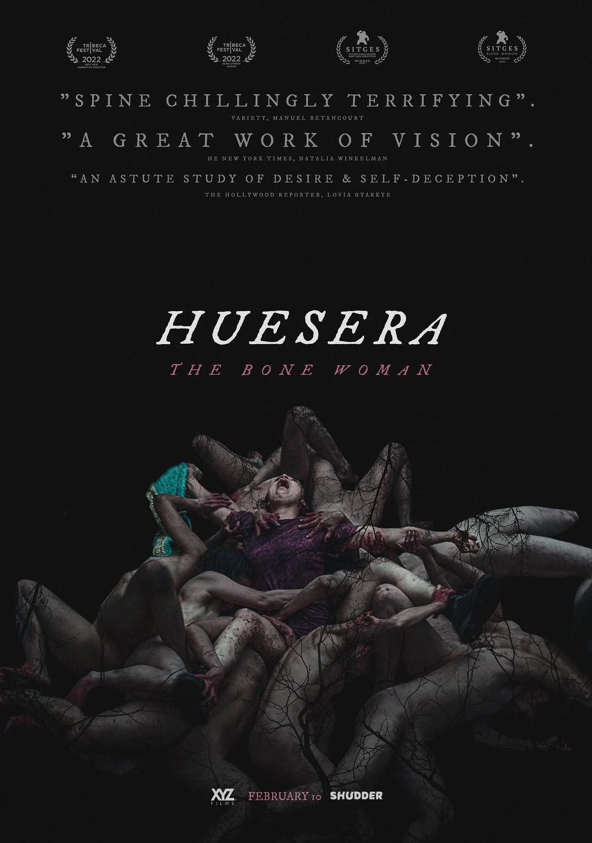 Huesera: The Bone Woman | Moviepedia | Fandom
