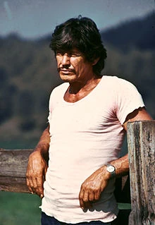 Charles Bronson | Moviepedia | Fandom