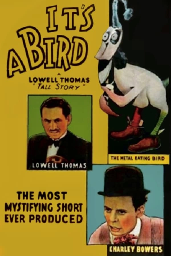 It's a Bird | Moviepedia | Fandom