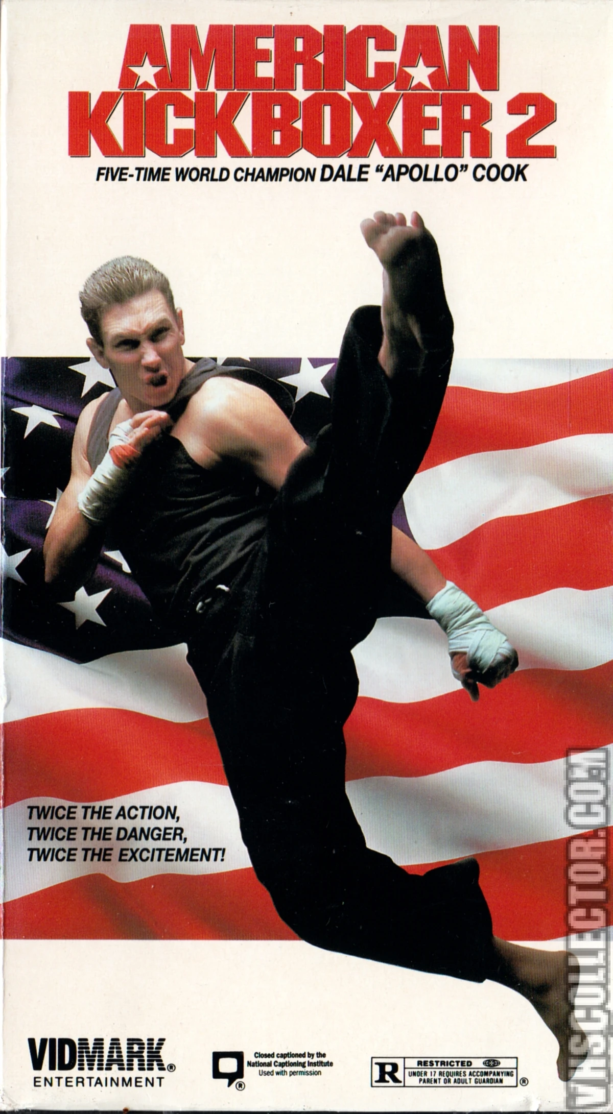 American Kickboxer 2/Home media | Moviepedia | Fandom