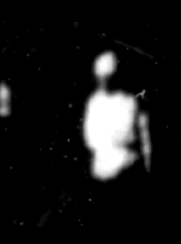 Monkeyshines | Filmovie Wiki | Fandom