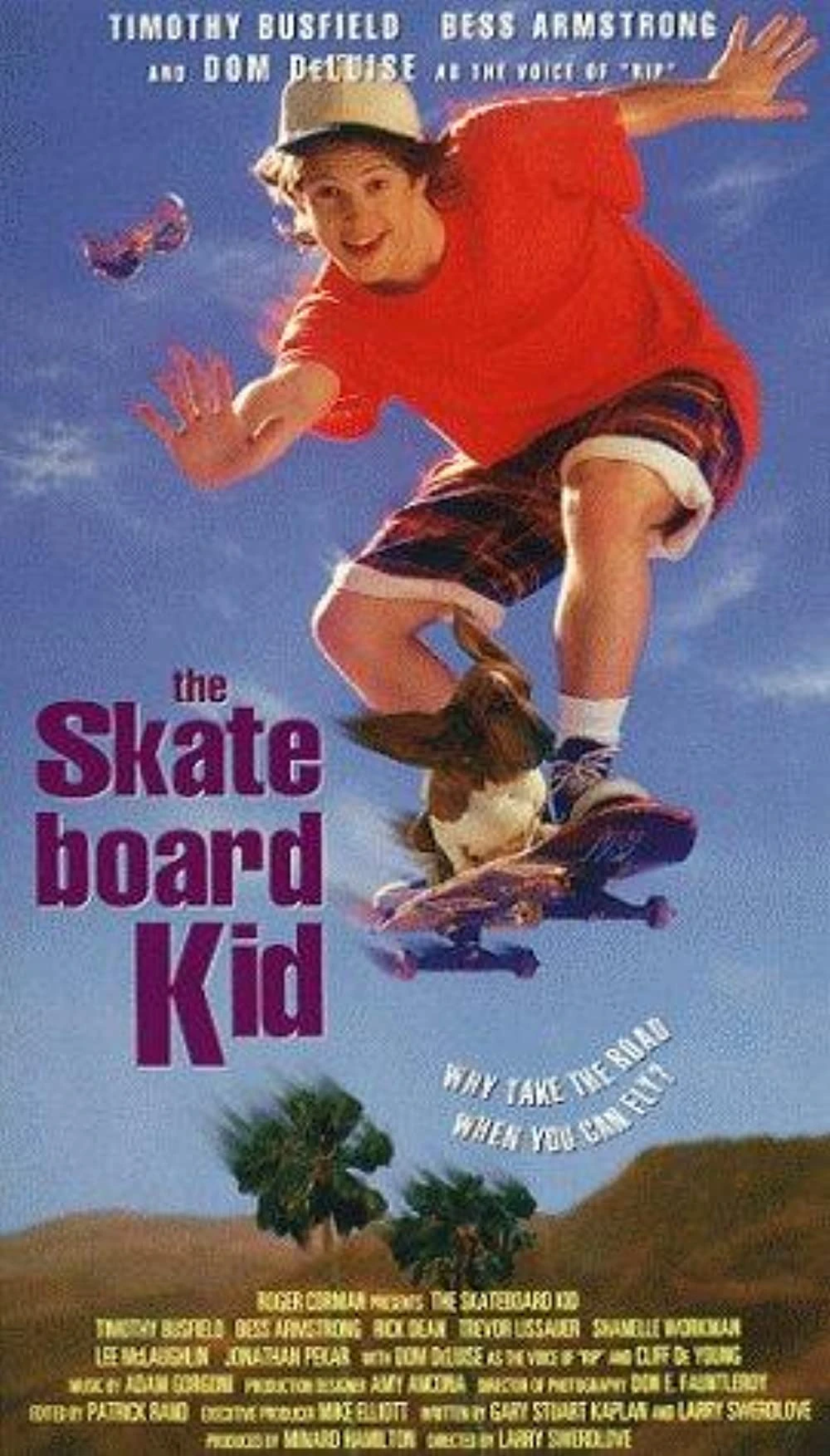 The Skateboard Kid | Filmpedia, the Films Wiki | Fandom