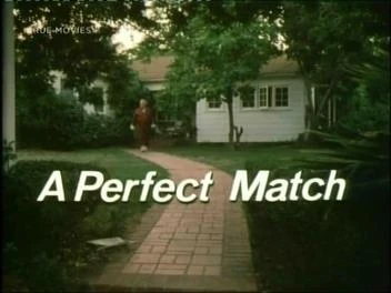 A Perfect Match | Filmpedia, the Films Wiki | Fandom