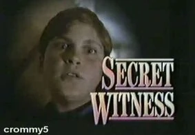 Secret Witness | Filmpedia, the Films Wiki | Fandom