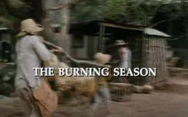 The Burning Season: The Chico Mendes Story | Filmpedia, the Films Wiki ...