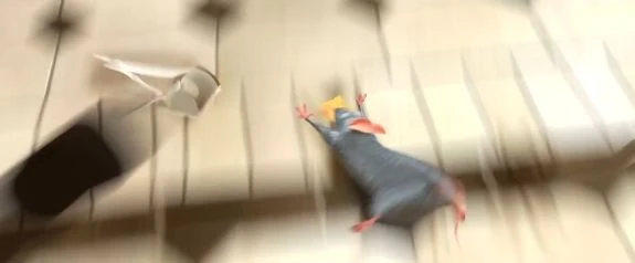 Rat3 | Films, TV Shows and Wildlife Wiki | Fandom