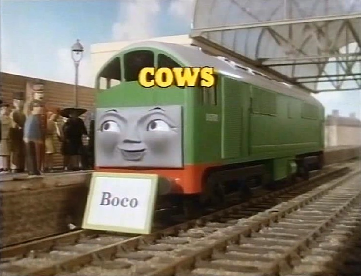 Cows | Films, TV Shows and Wildlife Wiki | Fandom