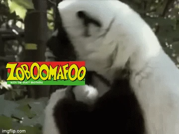 Zoboomafoo | Films, TV Shows and Wildlife Wiki | Fandom