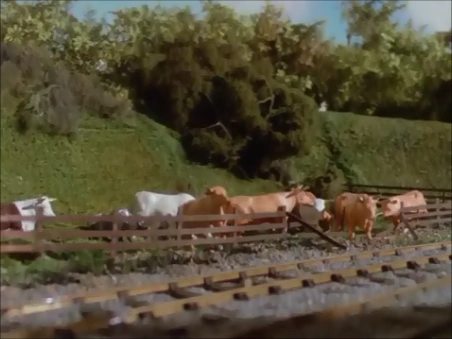 List of animals in Thomas and Friends | Films, TV Shows and Wildlife ...