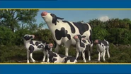 Thomas and Friends: Learning Segments | Films, TV Shows and Wildlife ...