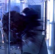 Julie Christensen | Final Destination Wiki | Fandom