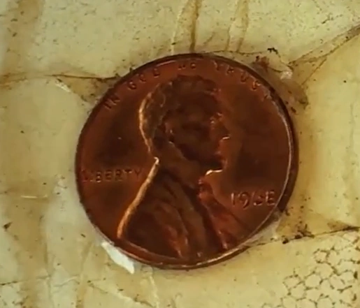 Penny | Final Destination Wiki | Fandom