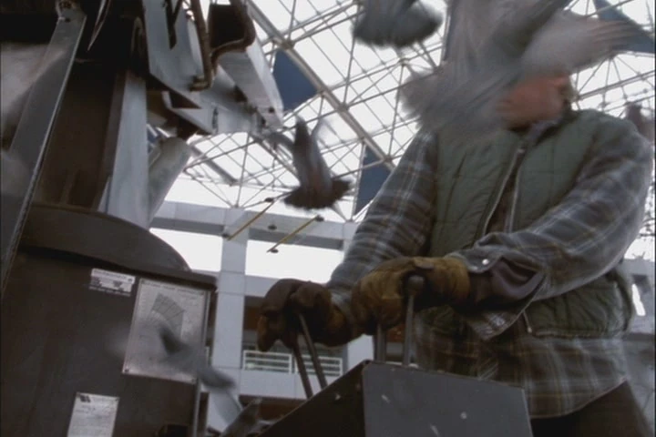 Final Destination 2 Deaths