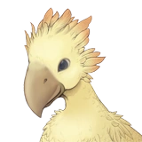 Boko | Flight Rising