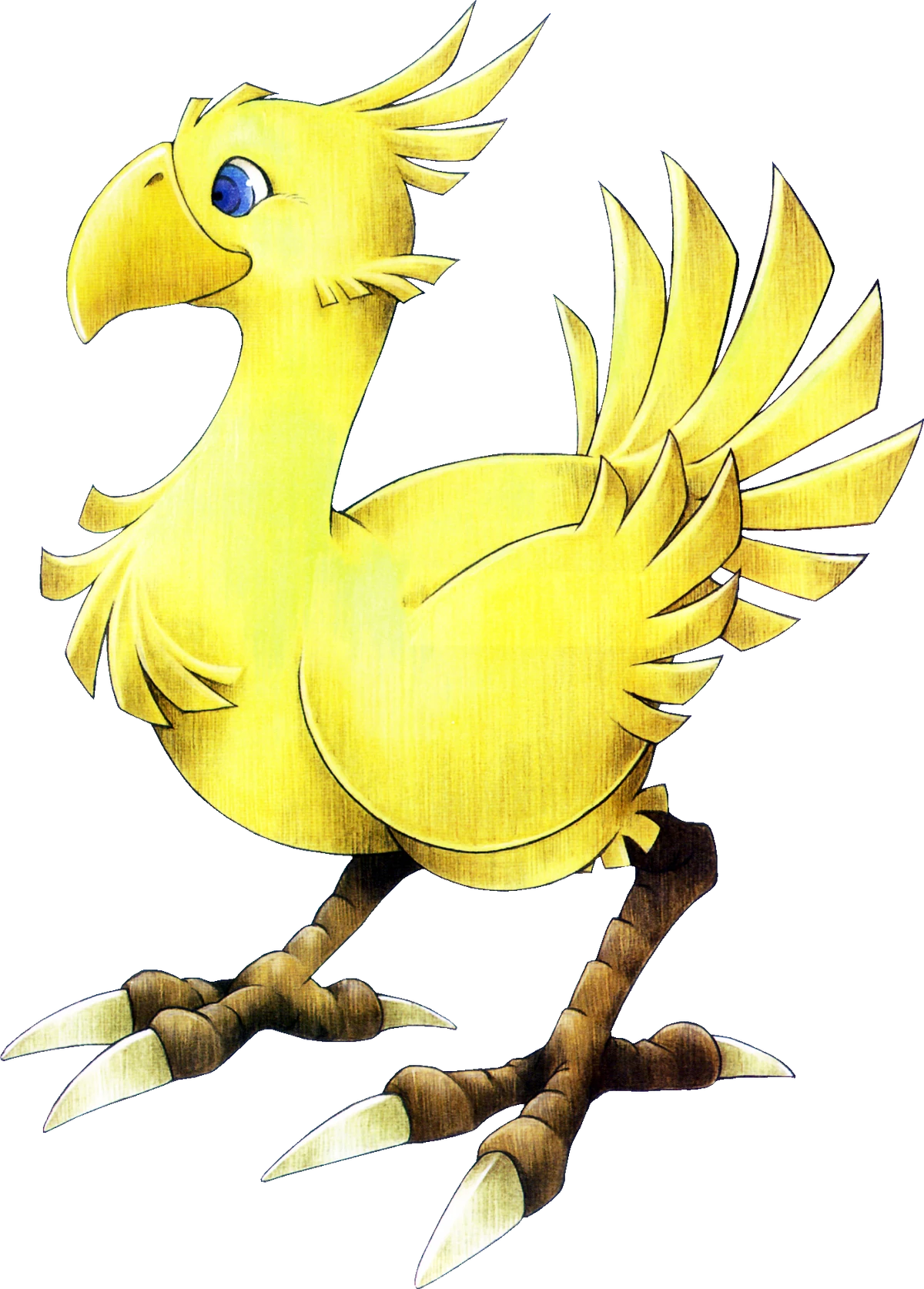 Chocobo Final Fantasy Wiki Fandom