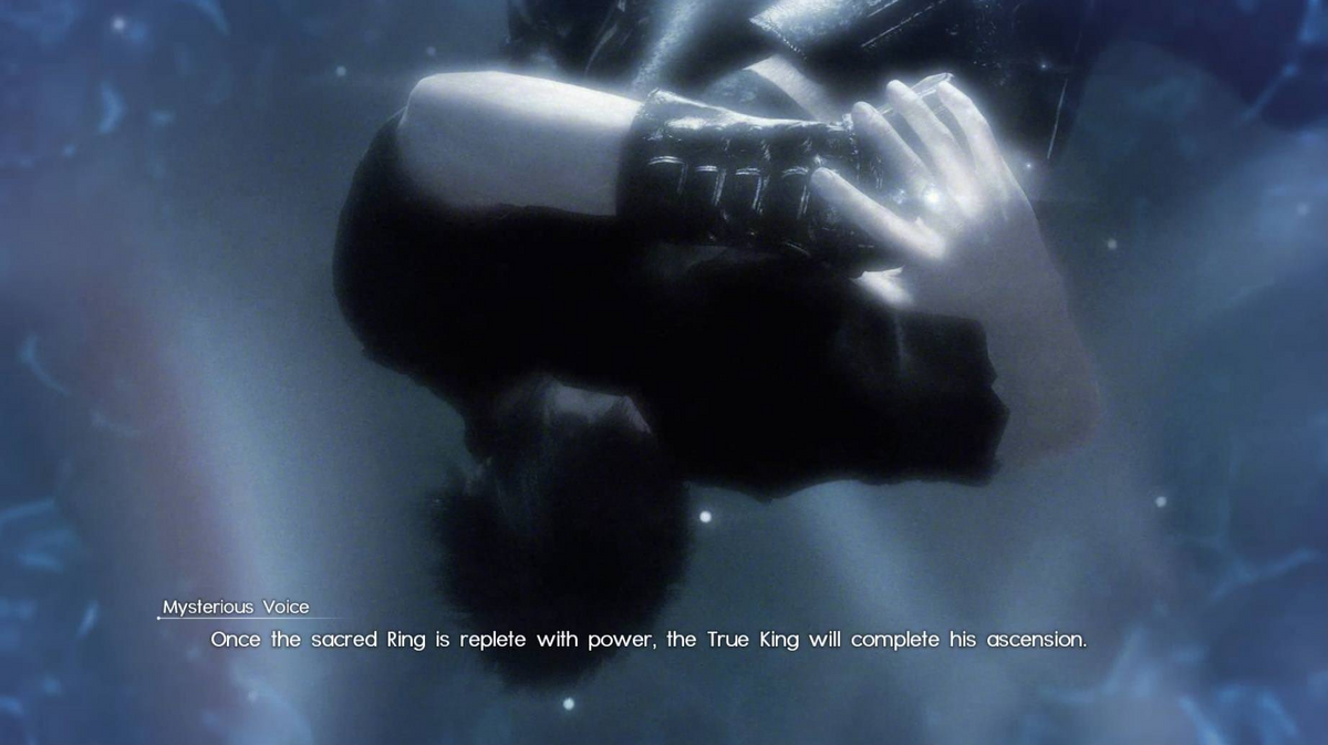 True King | Final Fantasy Wiki | Fandom