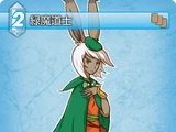 Category:Green Mages | Final Fantasy Wiki | Fandom