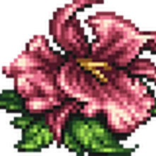 Rafflesia | Final Fantasy Wiki | Fandom