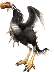 Simurgh | Final Fantasy Wiki | Fandom