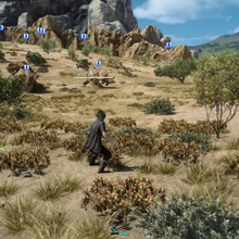 Gigantoad (Final Fantasy XV) | Final Fantasy Wiki | Fandom