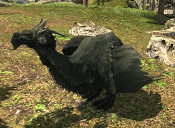 Amaro | Final Fantasy Wiki | Fandom