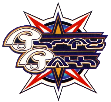 Blitzball | Final Fantasy Wiki | Fandom