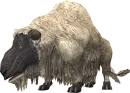 Sheep | Final Fantasy Wiki | Fandom