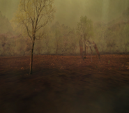 Cúchulainn (Final Fantasy XII) | Final Fantasy Wiki | Fandom