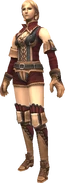 Final Fantasy XI armor sets | Final Fantasy Wiki | Fandom