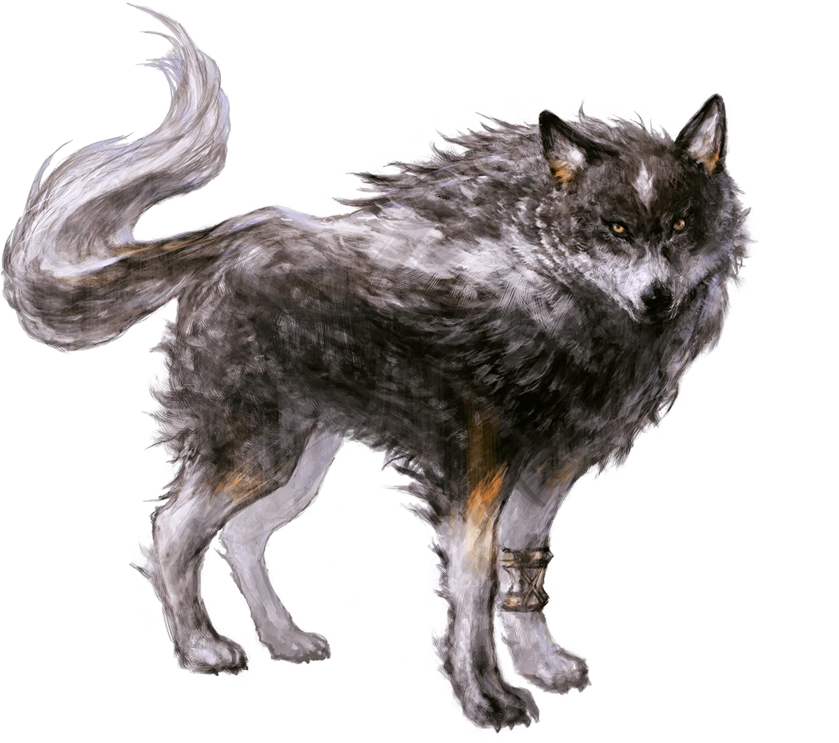 Torgal | Final Fantasy Wiki | Fandom
