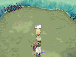 Star Chamber | Final Fantasy Wiki | Fandom